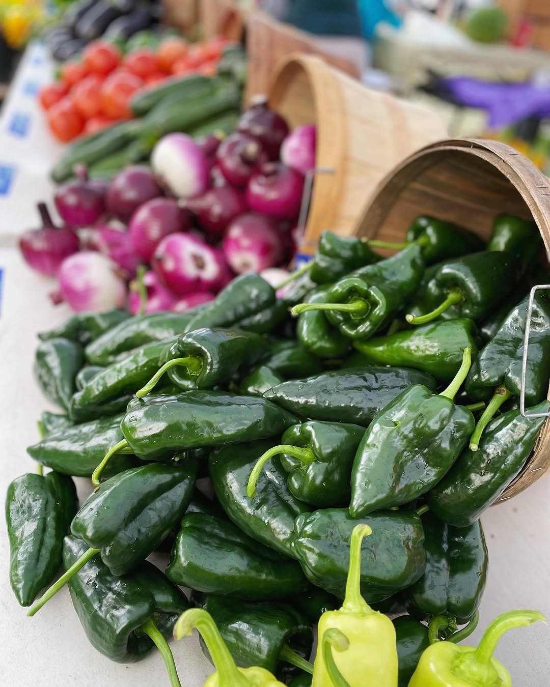 2025 Vegetable CSA | Henry's Gardens